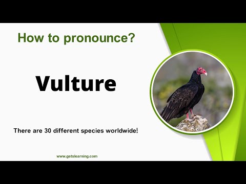 How to pronounce Vulture in English correctly