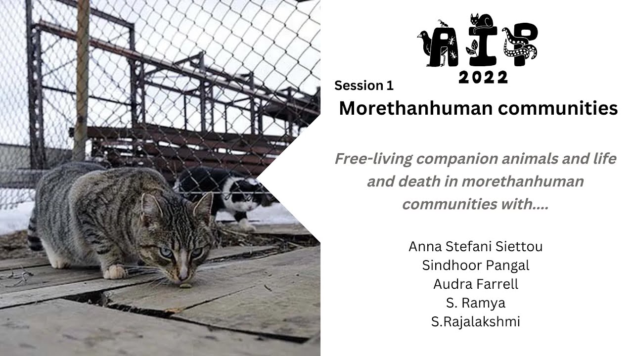 AIP2022 session 1: Morethanhuman communities