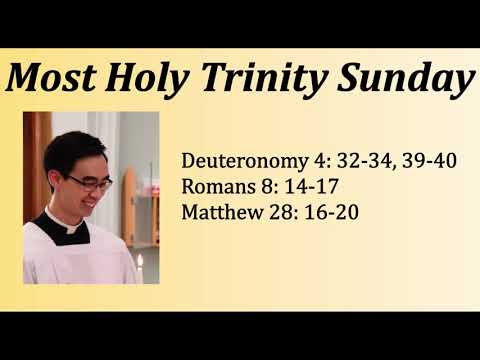 Most Holy Trinity Sunday Bulletin & Homily – St. Francis of Assisi Parish