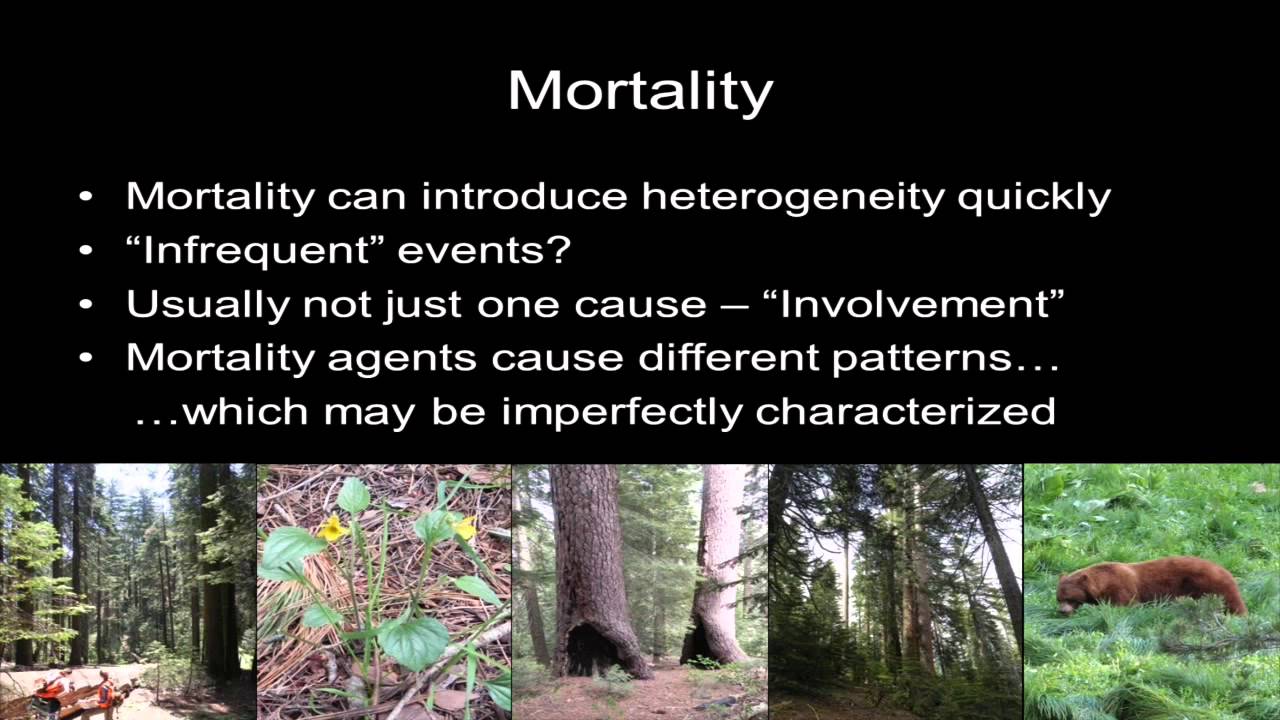 James Lutz -- Restoring what? Pattern, process, and large longitudinal data sets