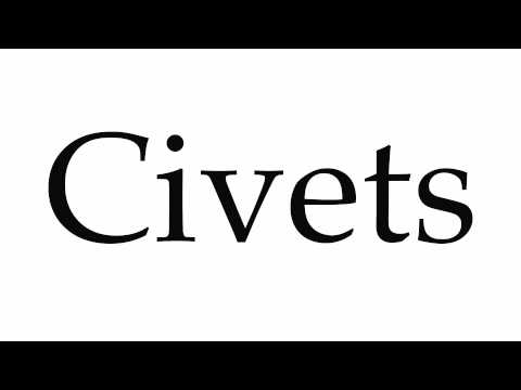 How to Pronounce Civets
