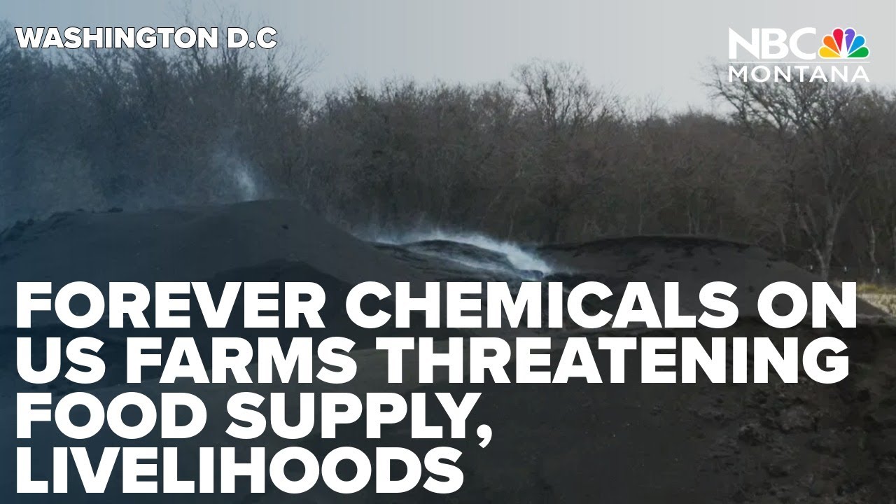 Sludge with forever chemicals spread on US farms threatens food supply, livelihoods