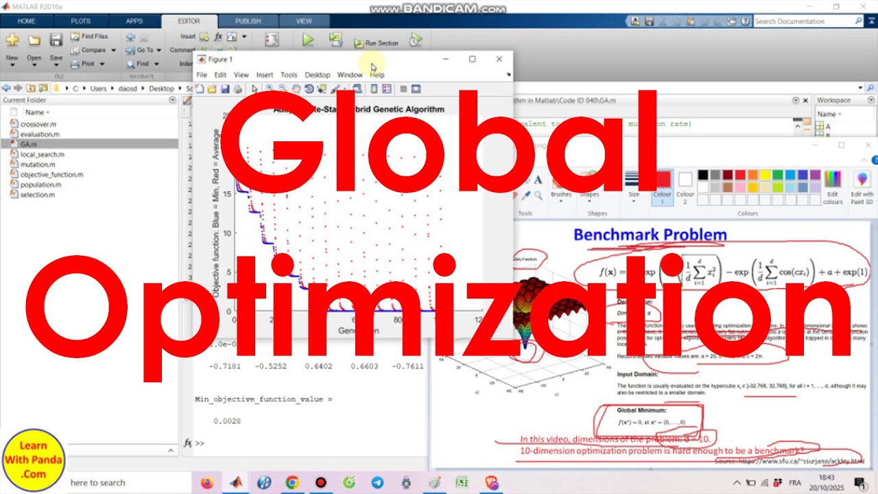 Global Optimization