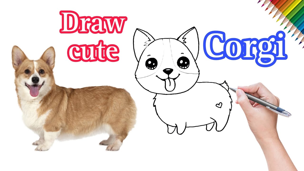 How To Draw A Cute CORGI DOG Clipart,To Draw step by step, DL cute things