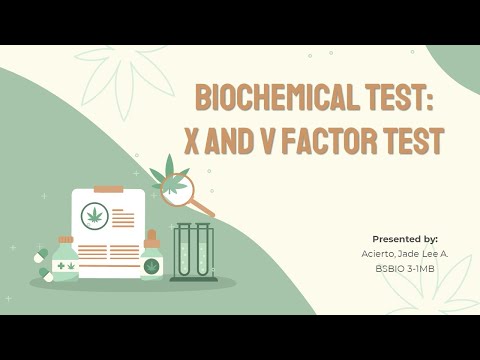 Biochemical Test: X and V Factor Test