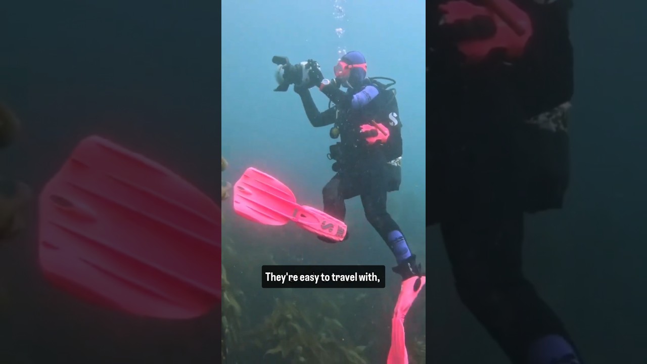 Best fins for scuba diving @SCUBAPRO