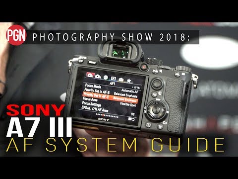 Sony A7 III: Autofocus settings guide (ILCE7M3B.CEC)