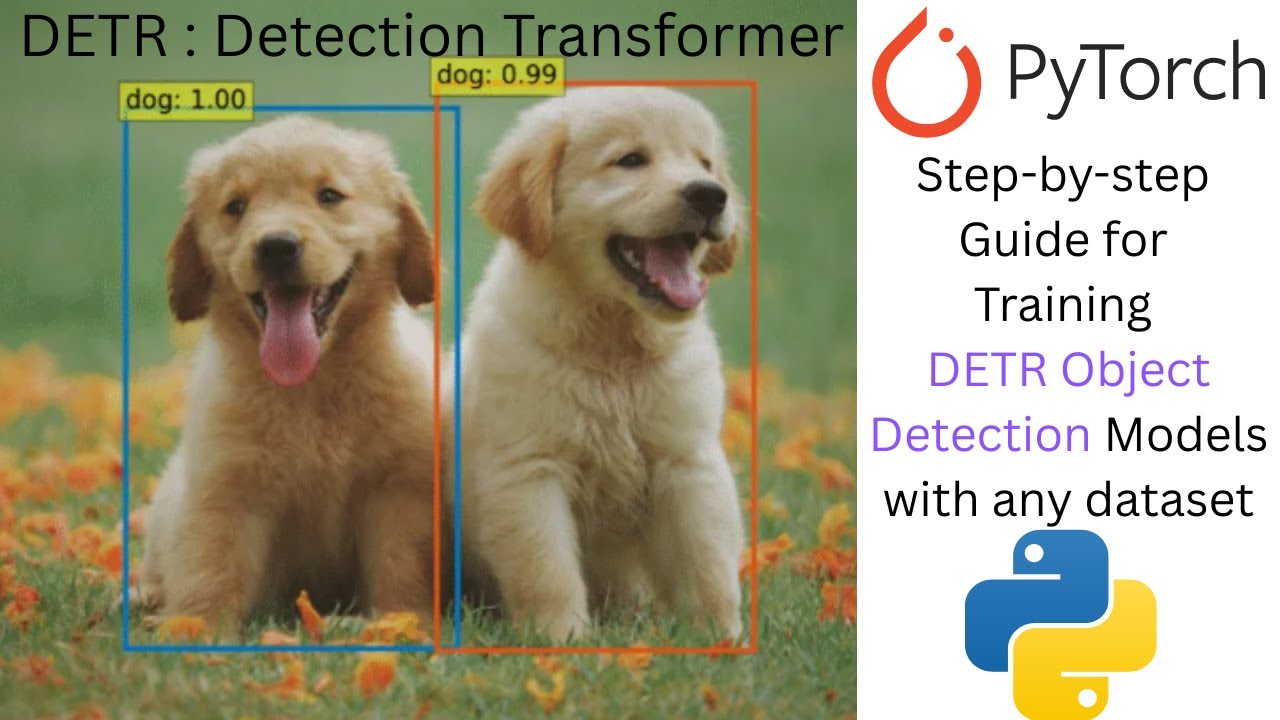 How to Train DETR Object Detection Models with Any Dataset