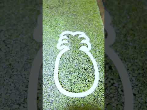 Pineapple Portal 🍍