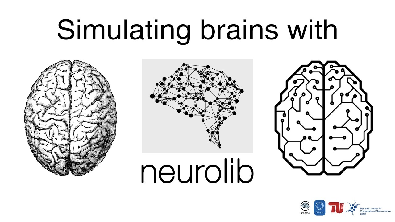 OCNS Dev Sessions #3: neurolib