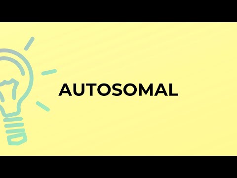 What is the meaning of the word AUTOSOMAL?