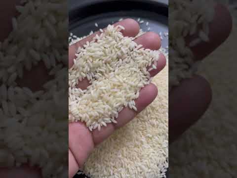 Sona Masoori Rice - Wholesale Price & Mandi Rate for Sona Masuri Rice ...