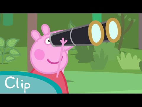 Peppa Pig - Nature Trail general voc…: English ESL video lessons