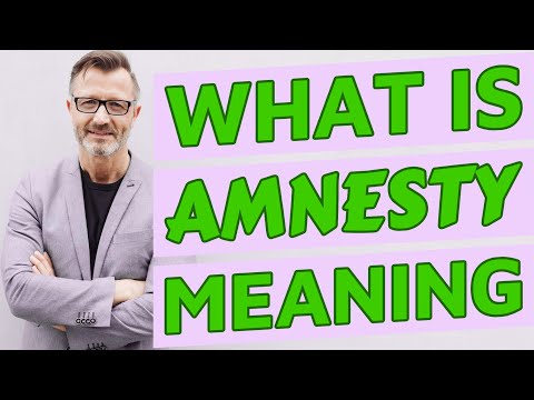 Amnesty | Definition of amnesty