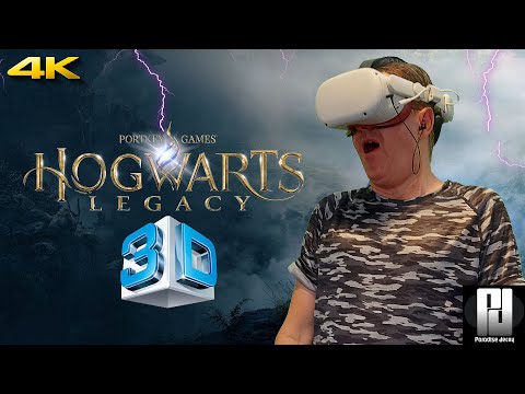 Steam Community :: Video :: [4K] PLAY Hogwarts Legacy in EYE-POPPING 3D ...