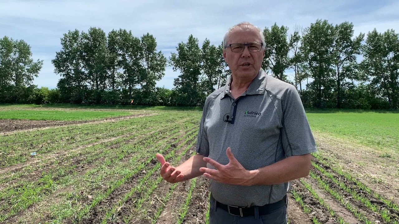 Agronomy Minute - Interpreting Soil Test Reports