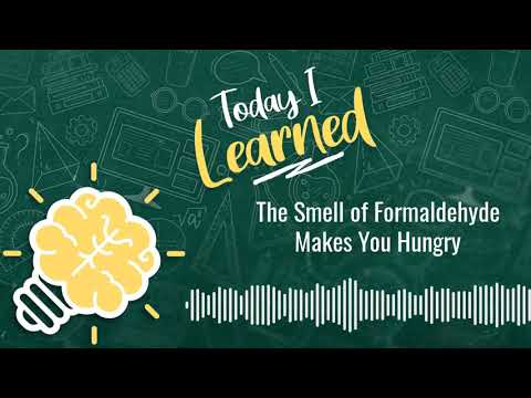 Today I Learned: The Smell of Formaldehyde Makes You Hungry