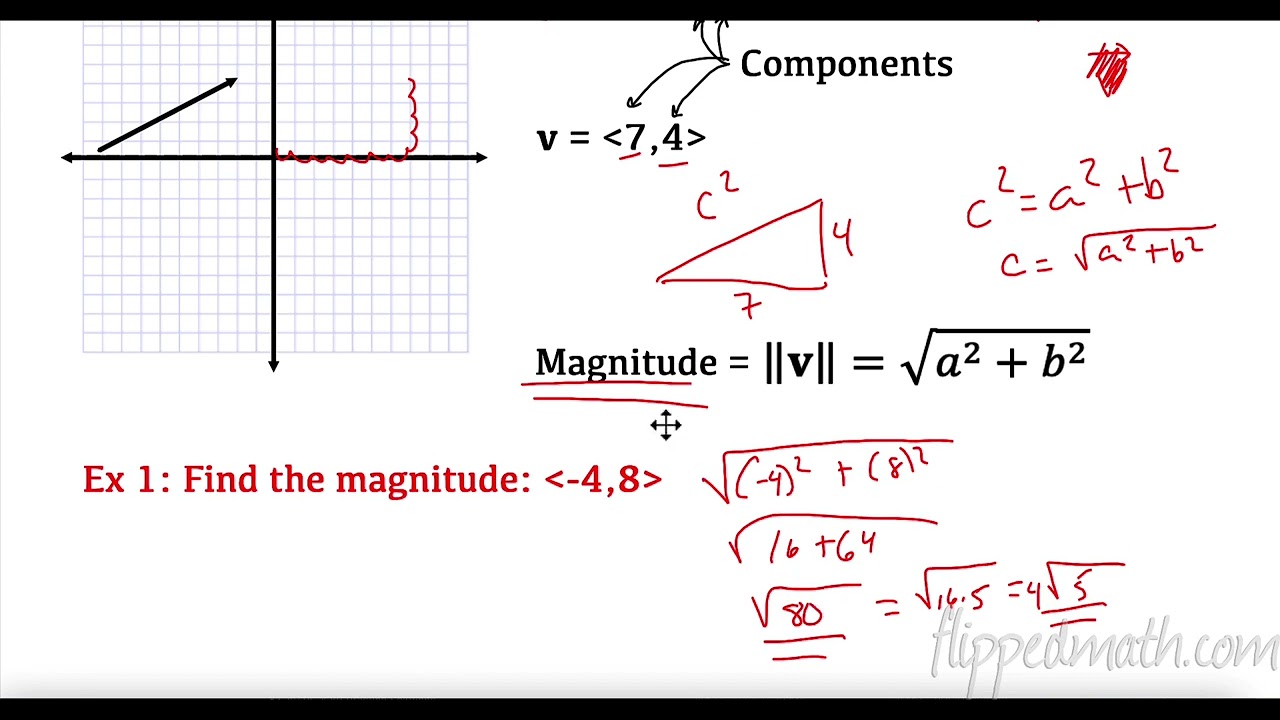 Understanding Vectors: Direction and Magnitude Explained | Galaxy.ai