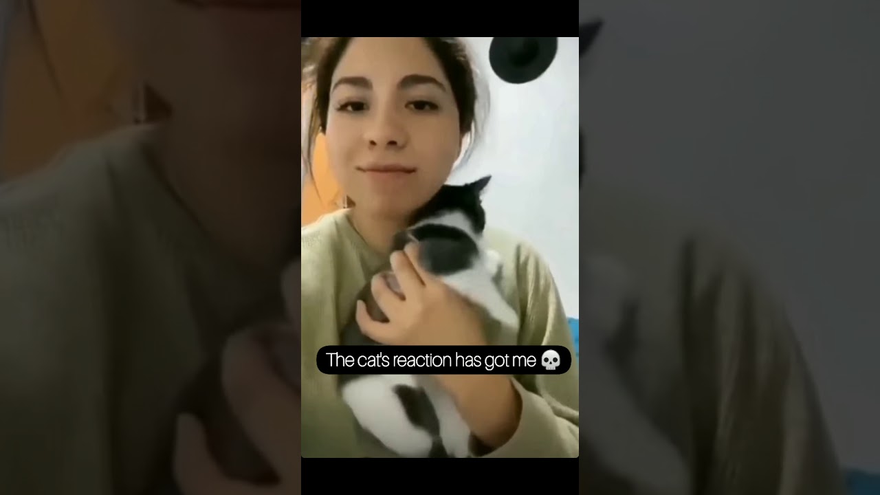 Cat is Scared of TikTok Filter & Runs Away With Funny Reaction