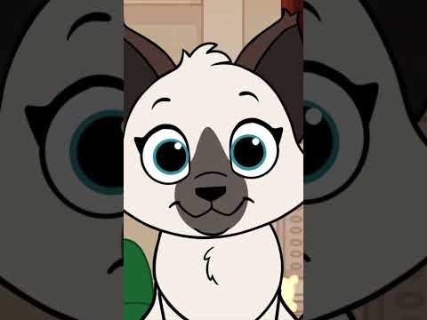 How to say kitten in French