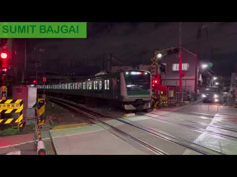 Shinagawa Central Park (JR train)