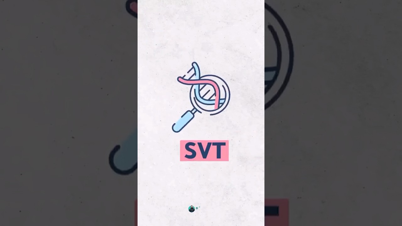 Svt شي كيقول فهامة شي كيقول حفاضة