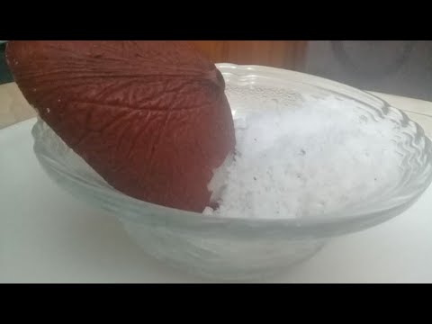 Desiccated Coconut recipe by Cooking Beyond Limits