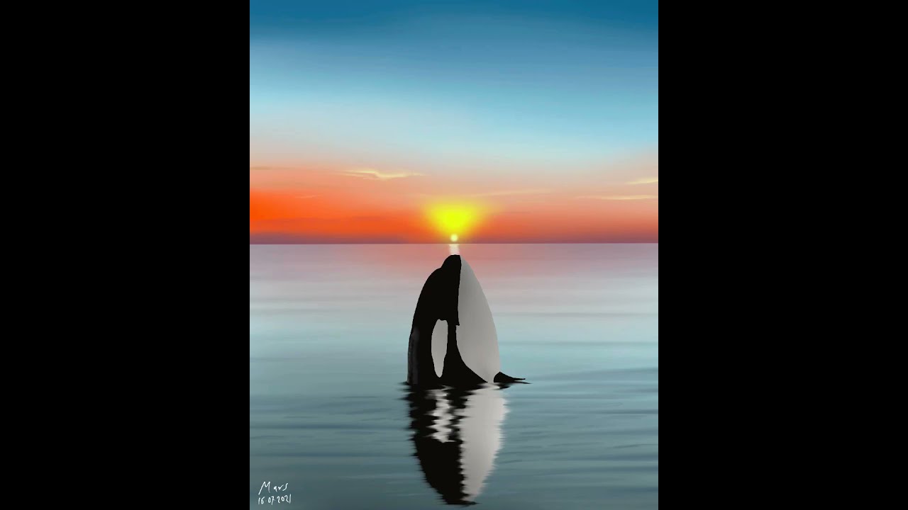 Killer Whale- Procreate