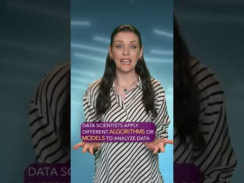 How Many Data Types Exist?