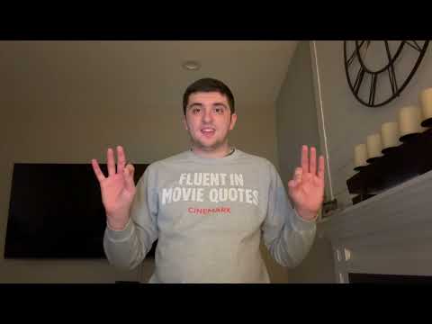 Flow (2024) Movie Review