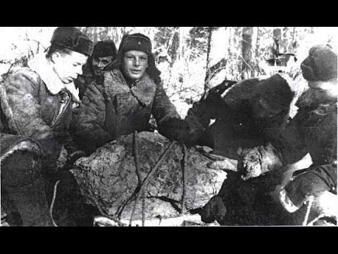 Sikhote Alin meteorite - Russian Academy of Sciences
