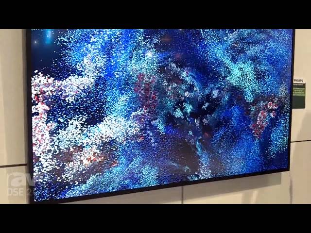 LFD Monitor Display - Philips 4k LFD Display Wholesaler from Bengaluru