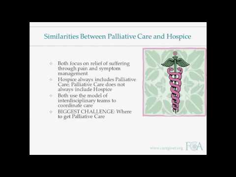 Palliative Care 101
