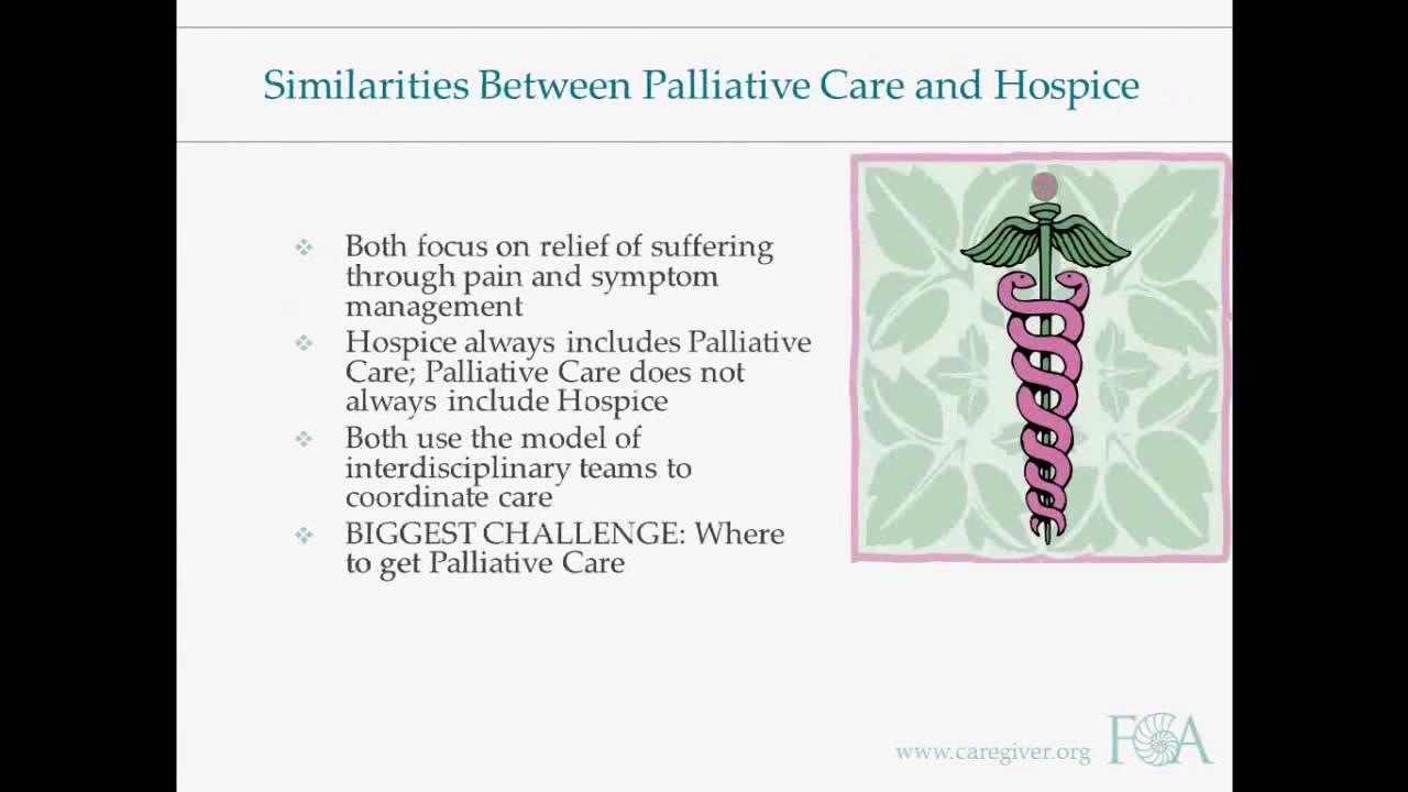 Palliative Care 101