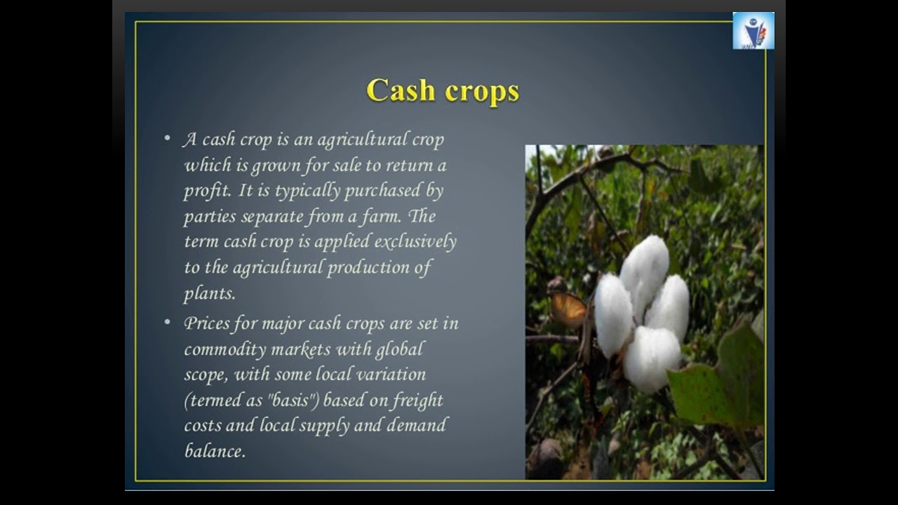 ppt lecture # 28, pre o geo pptx