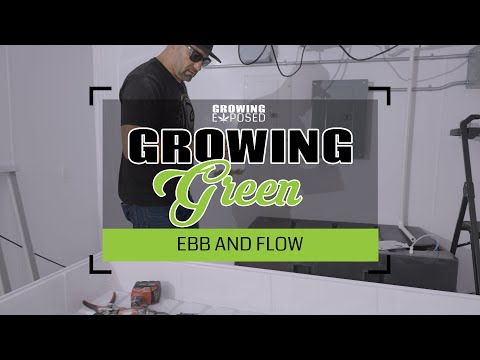Ebb And Flow System Set Up | Growing Green Vol 10