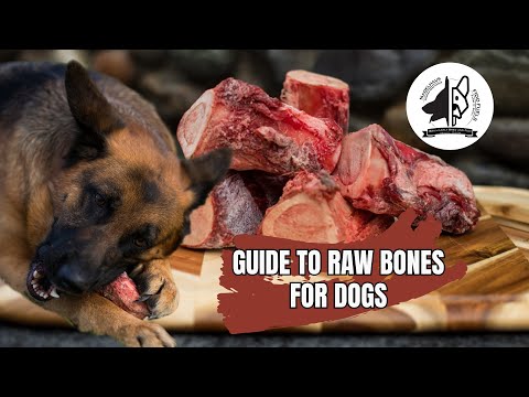 Guide to Raw Bones for Dogs