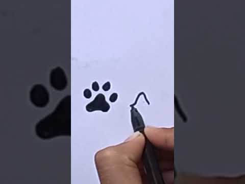 Cat and dog paws 🐾 drawing // pencil drawing