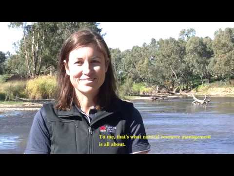 Natural resource management: the Local Land Services way