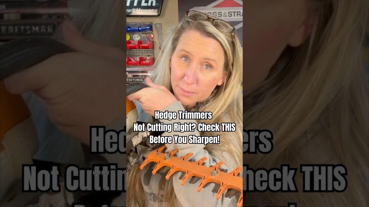 Don't Pay To Have Your Hedge Trimmer Sharpened, Until You Watch THIS!!