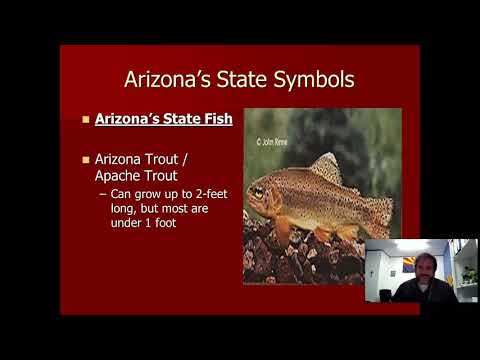 2 25 Arizona State Symbols