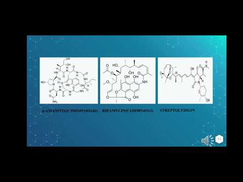 Inhibitors of Replication, Transcription and Translation (21MSBT18)