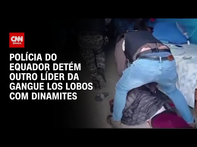 Estranho Futuro Donut De Gangue De Lobos