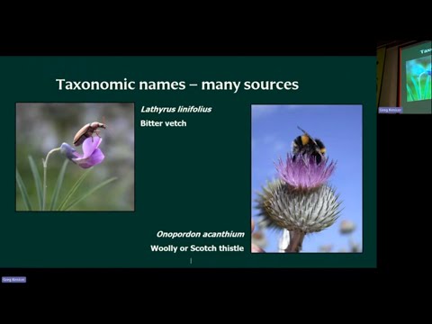 Plant and fungal names in Scotland