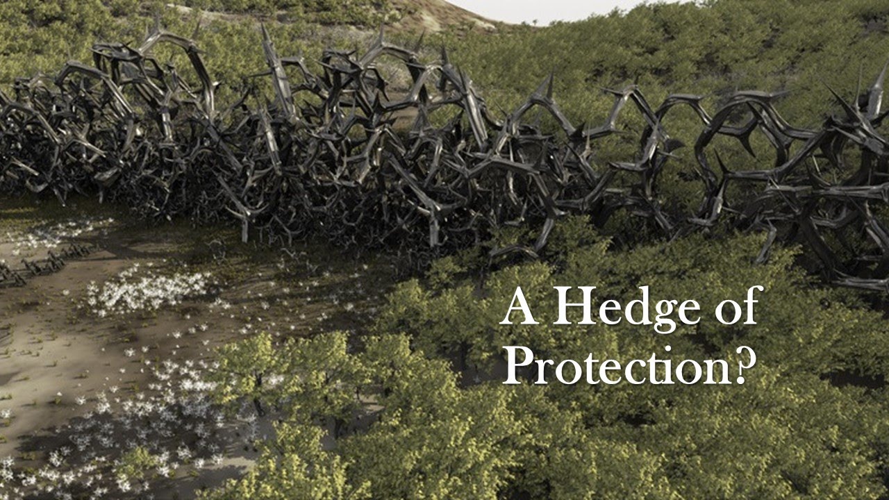 A Hedge of Protection?