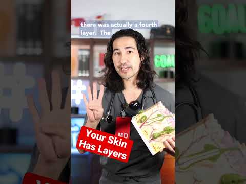 Your Skin Has Layers! Doctor Explains #skin #skincare #derm
