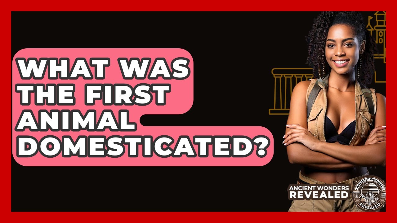 What Was The First Animal Domesticated? - Ancient Wonders Revealed