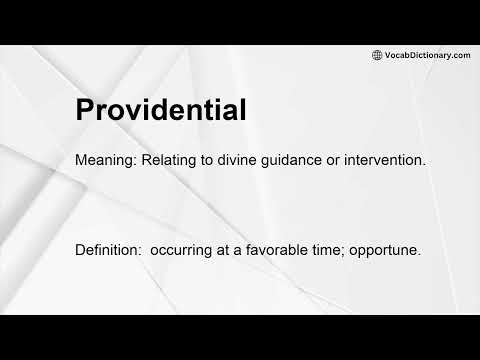 Providential Meaning