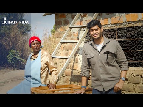 ZAMBIA Counting your chickens- how livestock helped farmers recover from COVID.