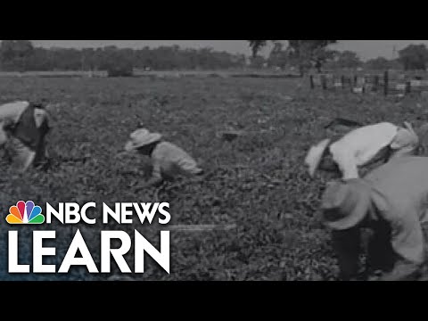 History of Mexico | Map and Timeline